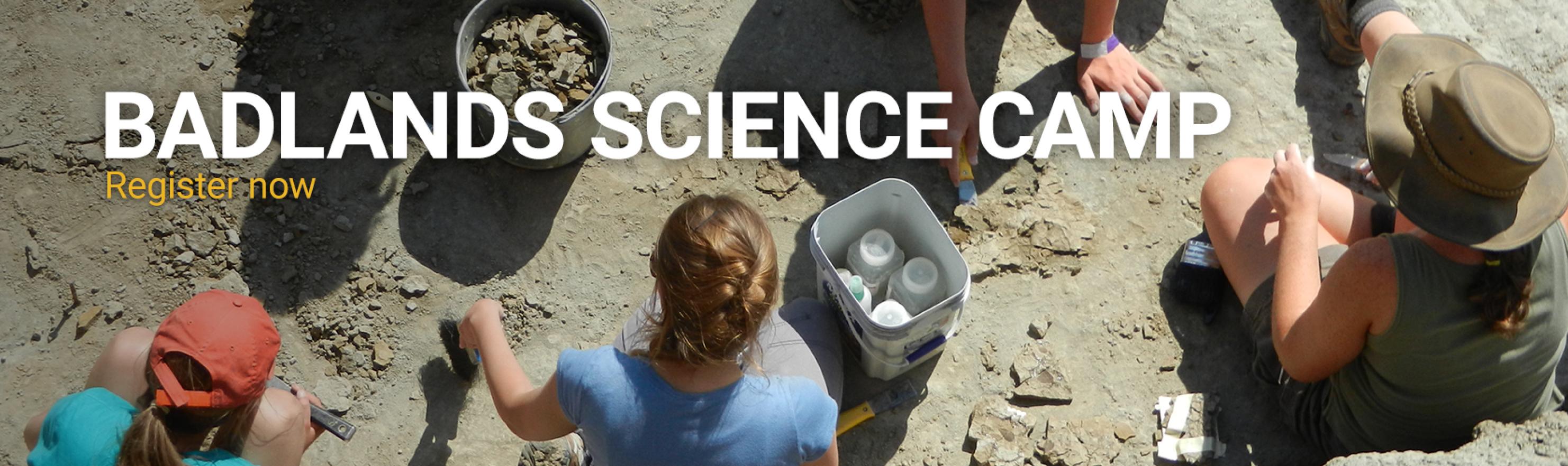 Home | Royal Tyrrell Museum